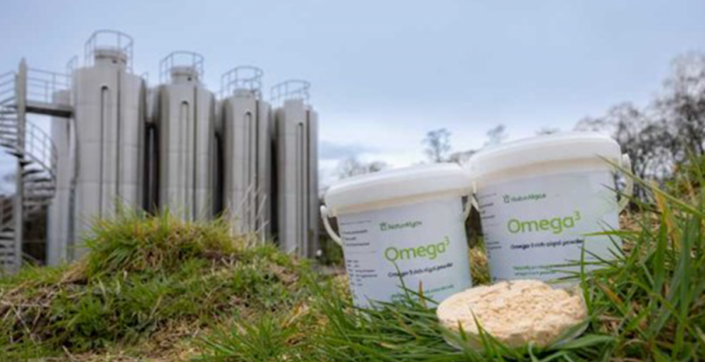 Edinburgh Innovations | Accelerate your journey