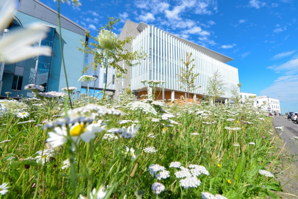 Edinburgh Innovations | Cancer immunotherapy research among…