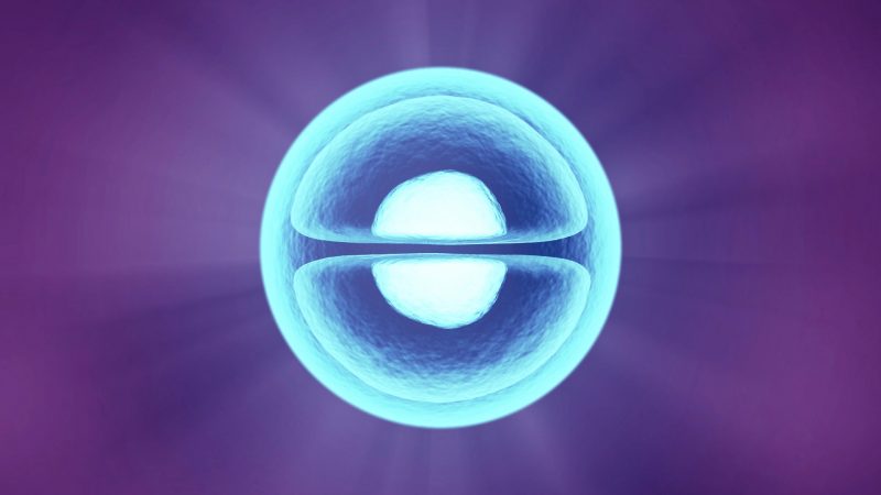 Edinburgh Innovations | Spinout Stimuliver receives £1.7m for new…