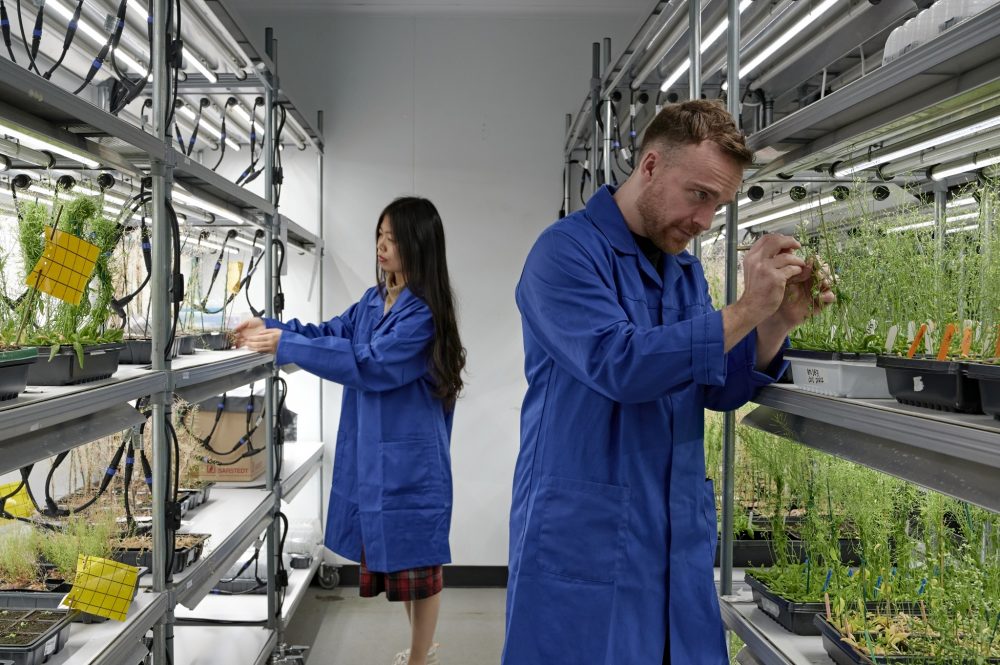 Edinburgh Innovations | The Edinburgh Plant Growth Facility at the…