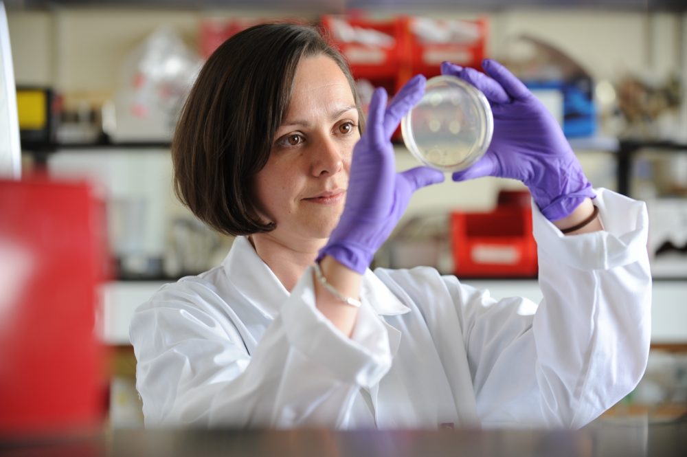 Edinburgh Innovations | Engineering Biology report showcases…