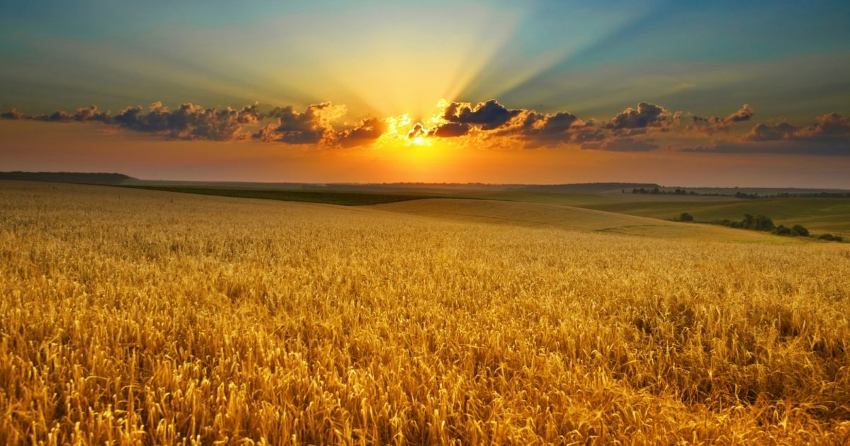 Edinburgh Innovations | Prozymi Biolabs – the best thing since sliced…