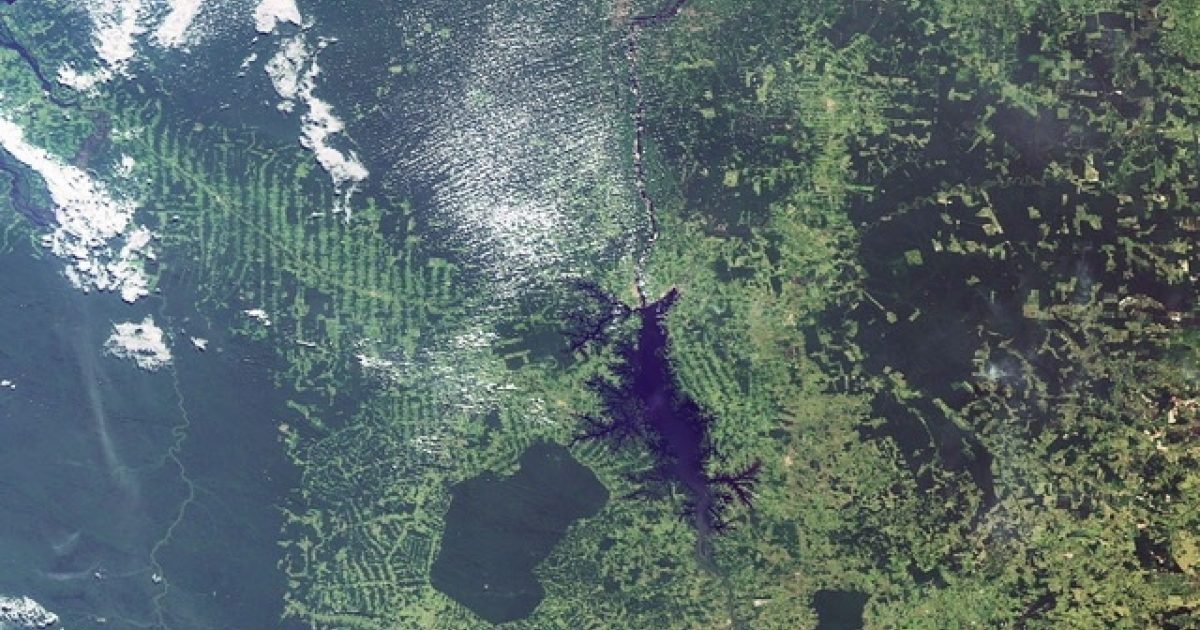 Edinburgh Innovations | Ecometrica: sustainability reporting and…