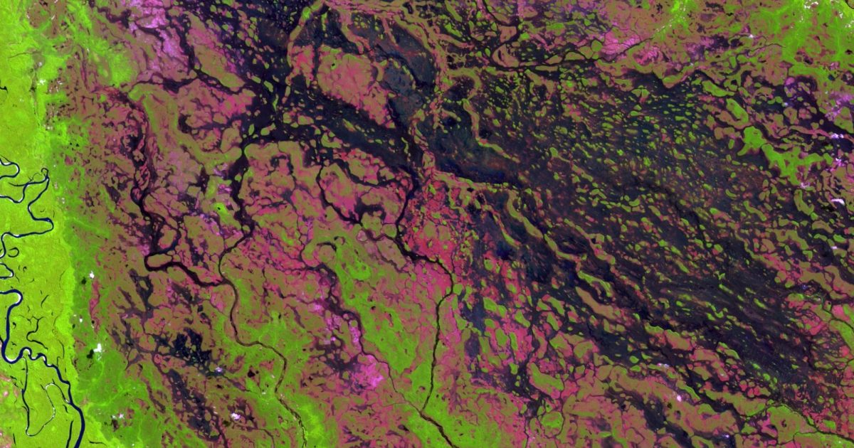 Edinburgh Innovations | Earth blox